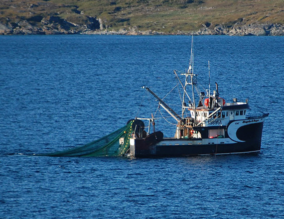 Clothing & Accessories for work & more | Jackfield